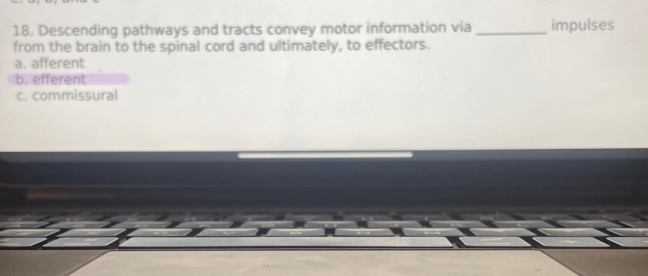 Solved Descending pathways and tracts convey motor | Chegg.com