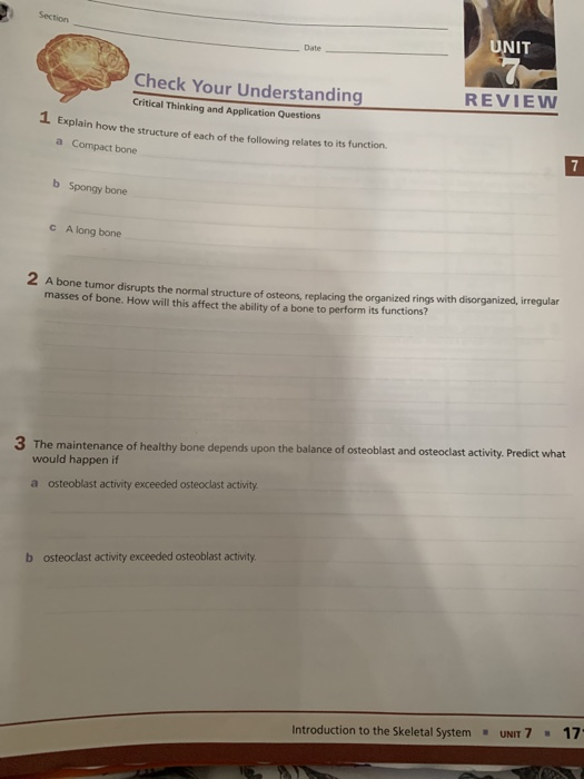 Solved Section UNIT Date Check Your Understanding REVIEW | Chegg.com