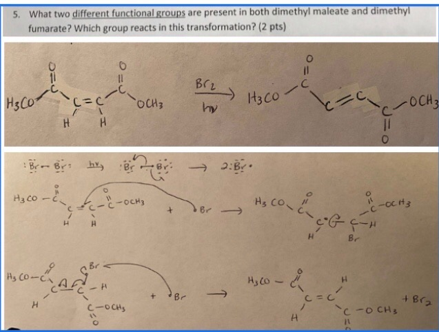 Solved 5. What two different functional groups are present | Chegg.com
