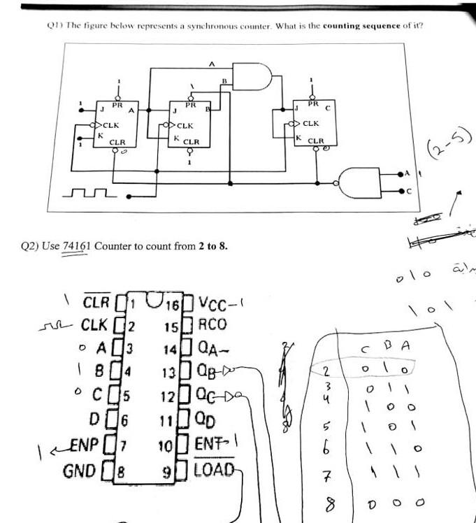 Solved Q1) The figure below represents a syncliromous | Chegg.com