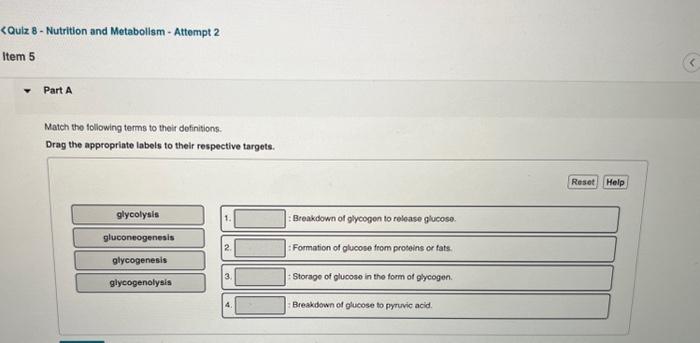 Solved Match the following terms to their definitions. Drag | Chegg.com