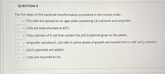 Solved Put the steps of the bacterial transformation | Chegg.com