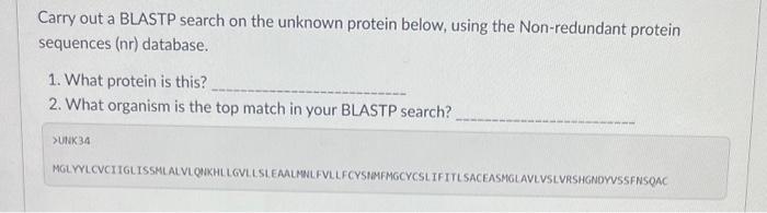 Solved Carry out a BLASTP search on the unknown protein | Chegg.com