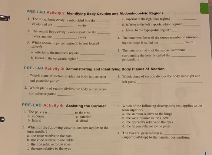 Solved PRE-LAB Activity 2: Identifying Body Cavities and | Chegg.com