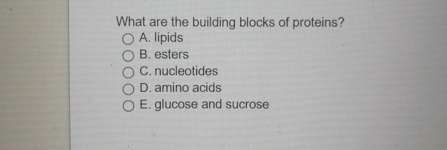 Solved What are the building blocks of proteins? O A. lipids | Chegg.com