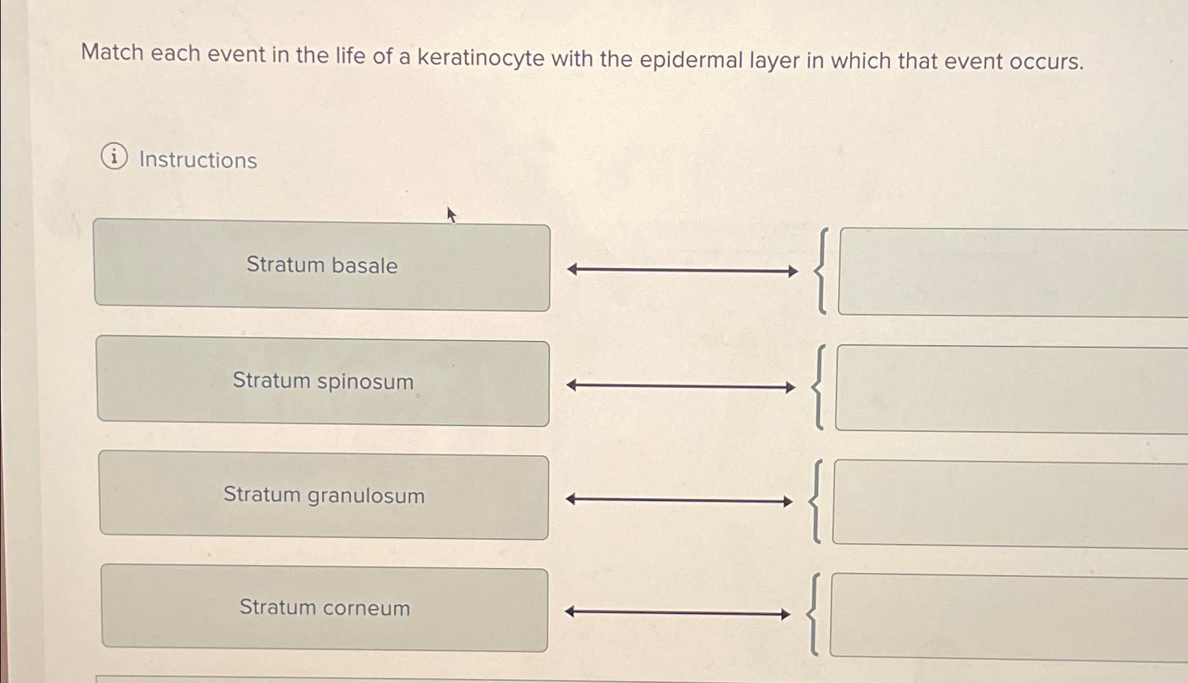Solved Match each event in the life of a keratinocyte with | Chegg.com