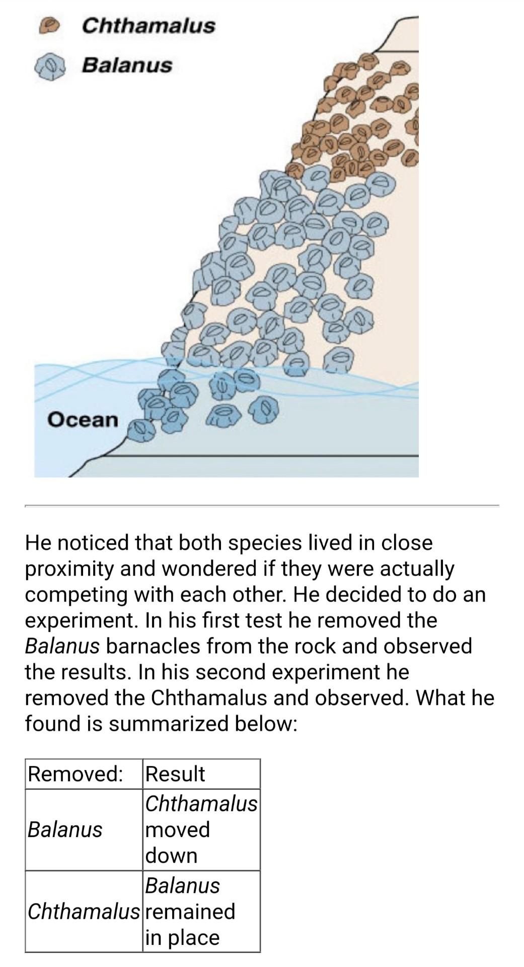 Solved Joseph Connell and Competition Joseph Connell was | Chegg.com