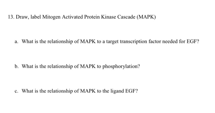 Solved 13. Draw, label Mitogen Activated Protein kinase | Chegg.com
