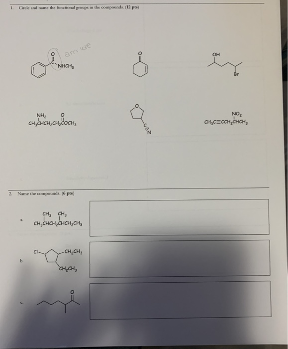 Solved 1. Circle and name the functional groups in the | Chegg.com