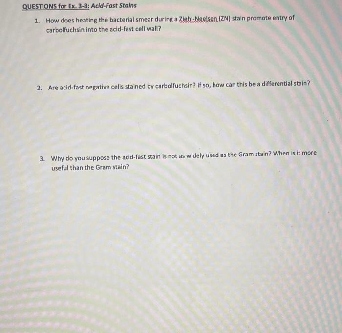 Solved 1. How does heating the bacterial smear during a | Chegg.com