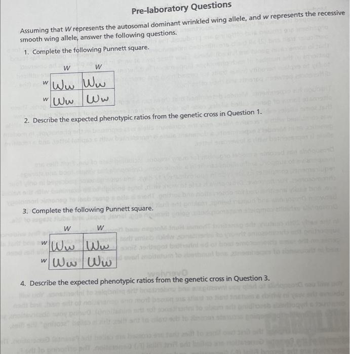 Solved Pre-laboratory Questions Assuming that W represents | Chegg.com