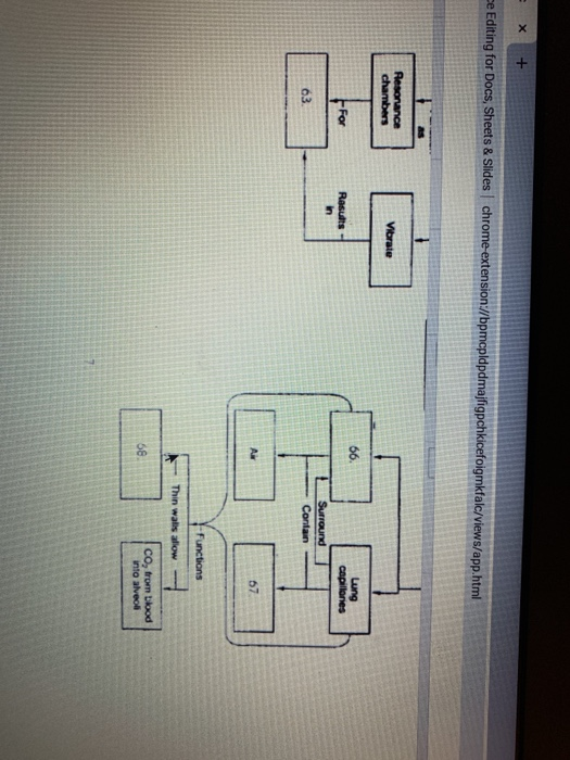 Solved Office Editing For Docs Sheets And Slides Chrome 