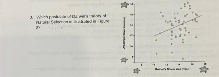 Solved 3. Which postulate of Darwin's theory of Natural | Chegg.com