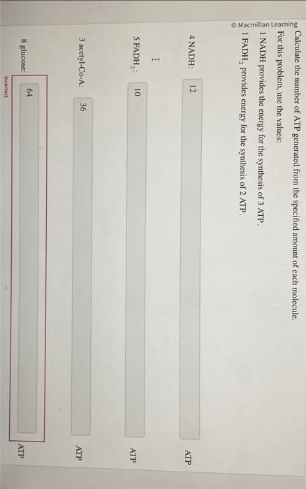 Solved Calculate the number of ATP generated from the | Chegg.com