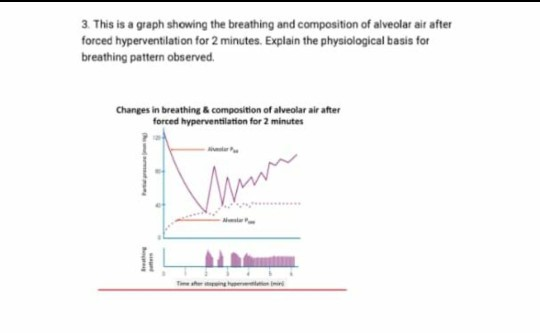 Solved 3. This is a graph showing the breathing and | Chegg.com