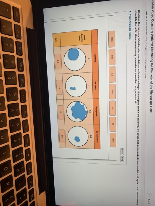 Solved re-lab Video Coaching Activity: Estimating the | Chegg.com