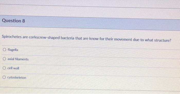 Solved Question 8 Spirochetes are corkscrew-shaped bacteria | Chegg.com