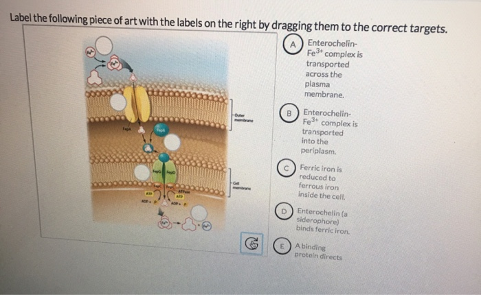 Solved Label the following piece of art with the labels on | Chegg.com
