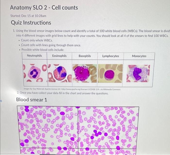 Anatomy SLO 2 - Cell counts Started: Dec 15 at | Chegg.com