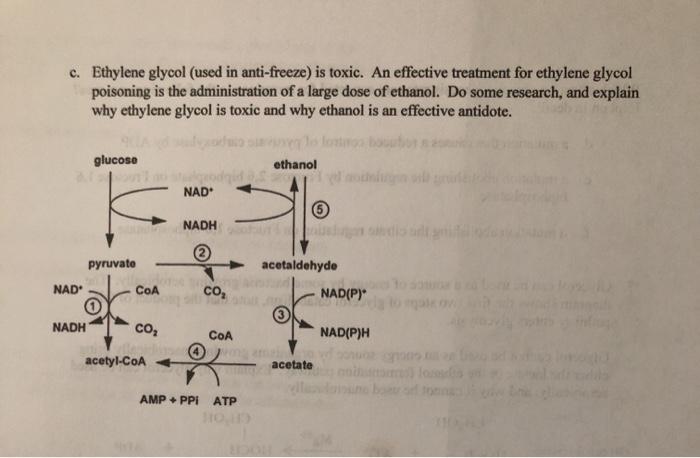 Solved 7. Glycerol can be used as a source of energy by some | Chegg.com