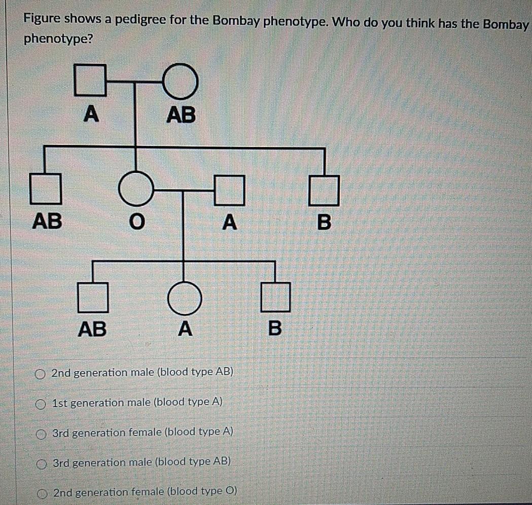 Solved Figure shows a pedigree for the Bombay phenotype. Who | Chegg.com
