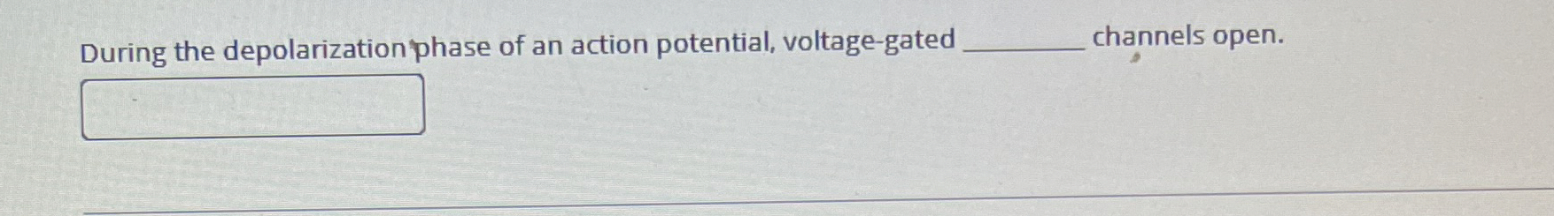 Solved During The Depolarization Phase Of An Action