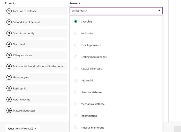 Solved Prompts Answers First Line Of Defense 2 Second Line