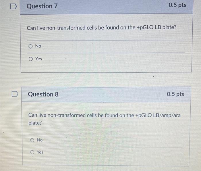 Solved What would you expect to see if you plated the +pGLO | Chegg.com