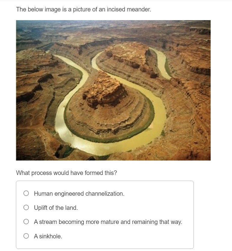 Solved The below image is a picture of an incised | Chegg.com