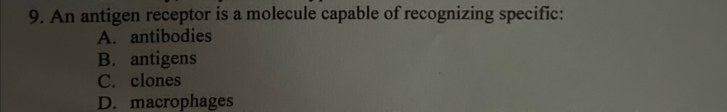 Solved An antigen receptor is a molecule capable of | Chegg.com
