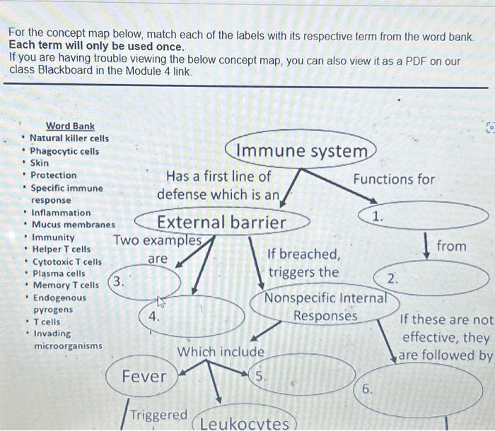 Solved For the concept map below, match each of the labels | Chegg.com