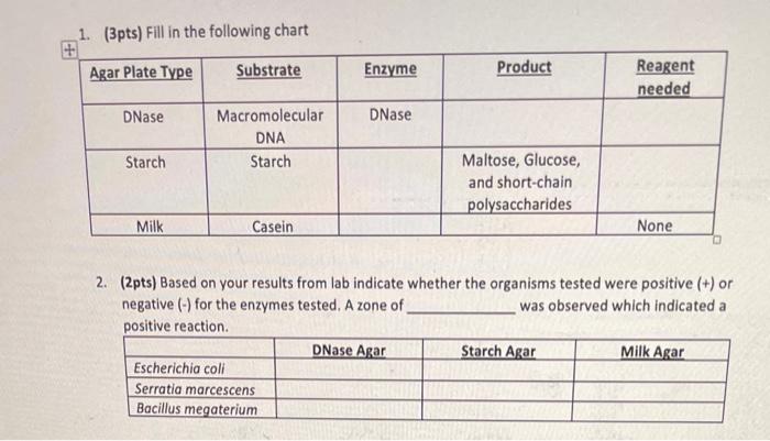 Solved 1. (3pts) Fill in the following chart Agar Plate Type | Chegg.com