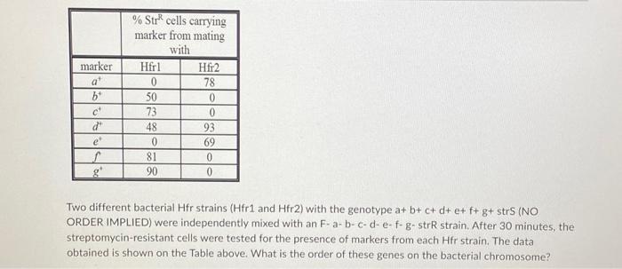 Solved Two different bacterial Hfr strains ( Hfr1 and Hfr2 ) | Chegg.com