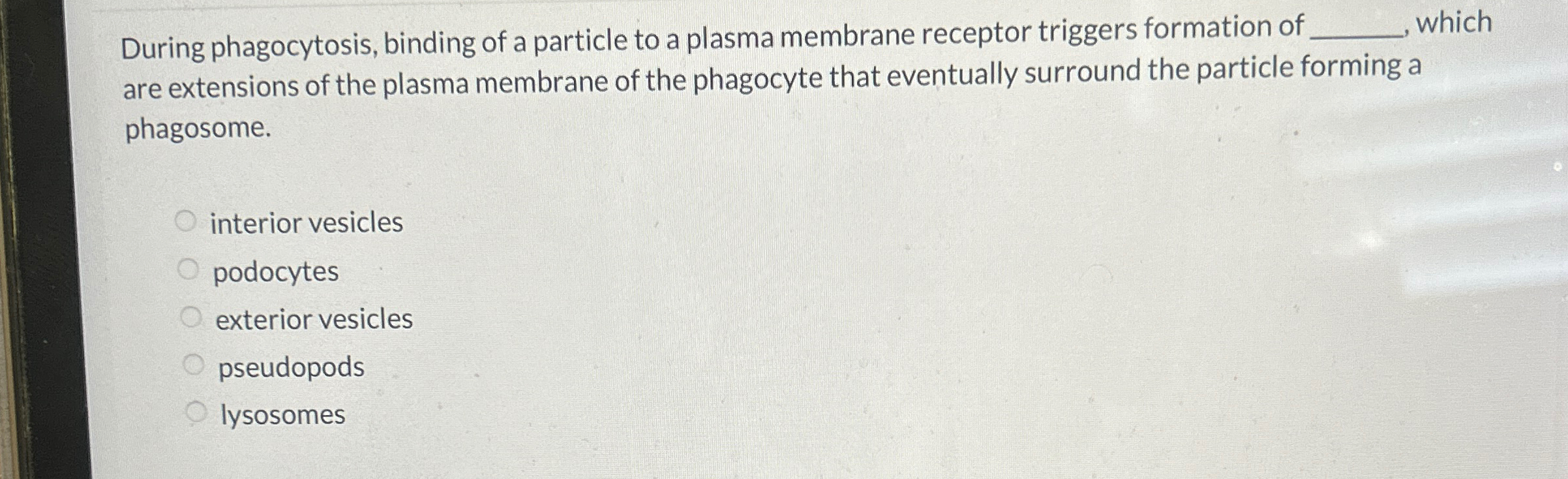 Solved During phagocytosis, binding of a particle to a | Chegg.com