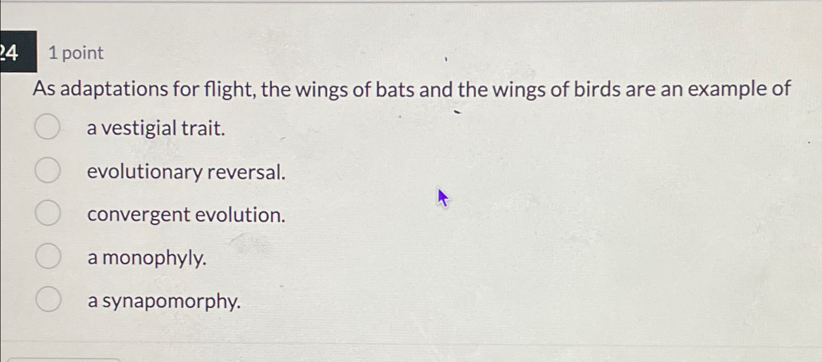 Solved 34 ﻿pointAs adaptations for flight, the wings of bats | Chegg.com