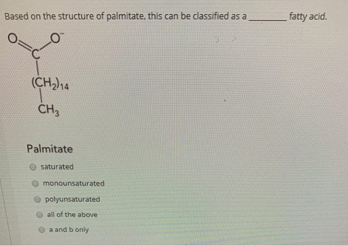 Solved Based on the structure of palmitate, this can be | Chegg.com