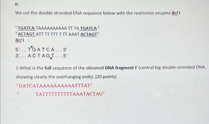 Solved II: We cut the double stranded DNA sequence below | Chegg.com