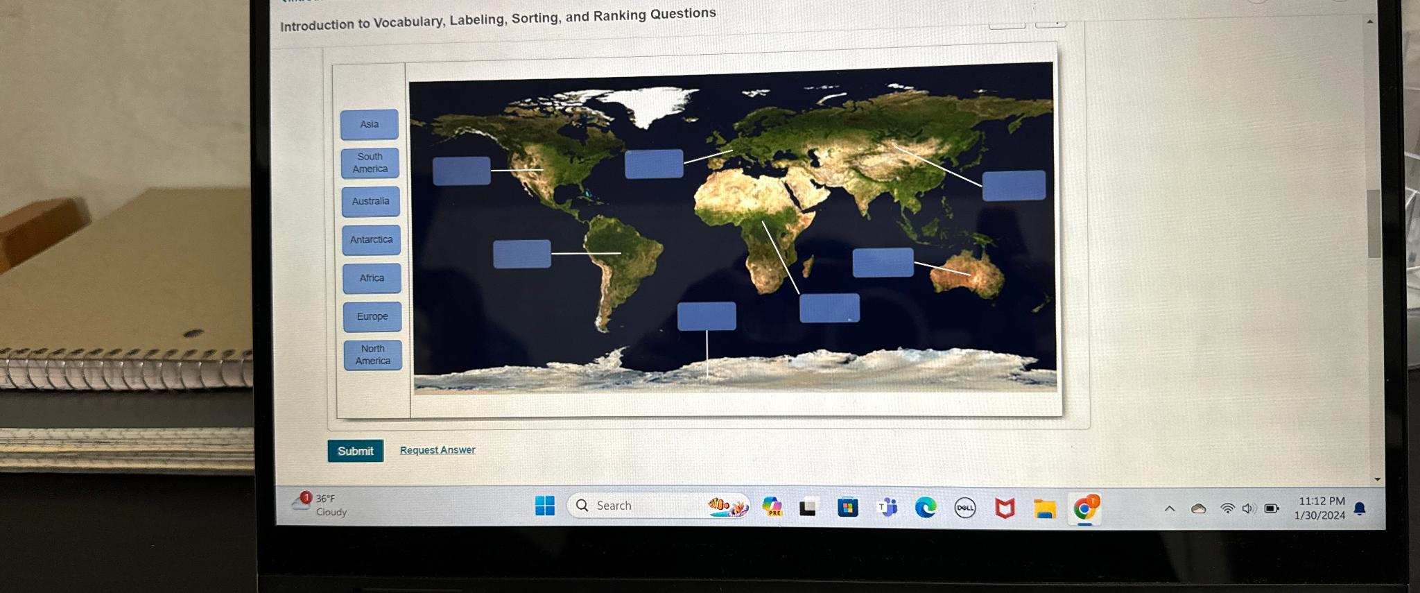 Solved Introduction to Vocabulary, Labeling, Sorting, and | Chegg.com