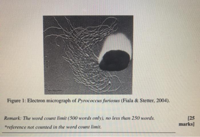 Solved Figure 1 shows the appearance of Pyrococcus furiosus | Chegg.com
