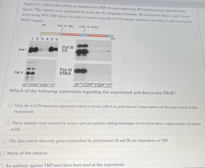 Solved Figure 11.7 shows the effects of mutations in TBP on | Chegg.com