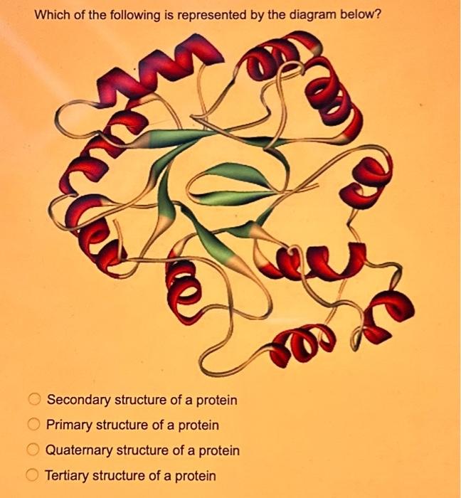 Solved Which of the following is represented by the diagram | Chegg.com