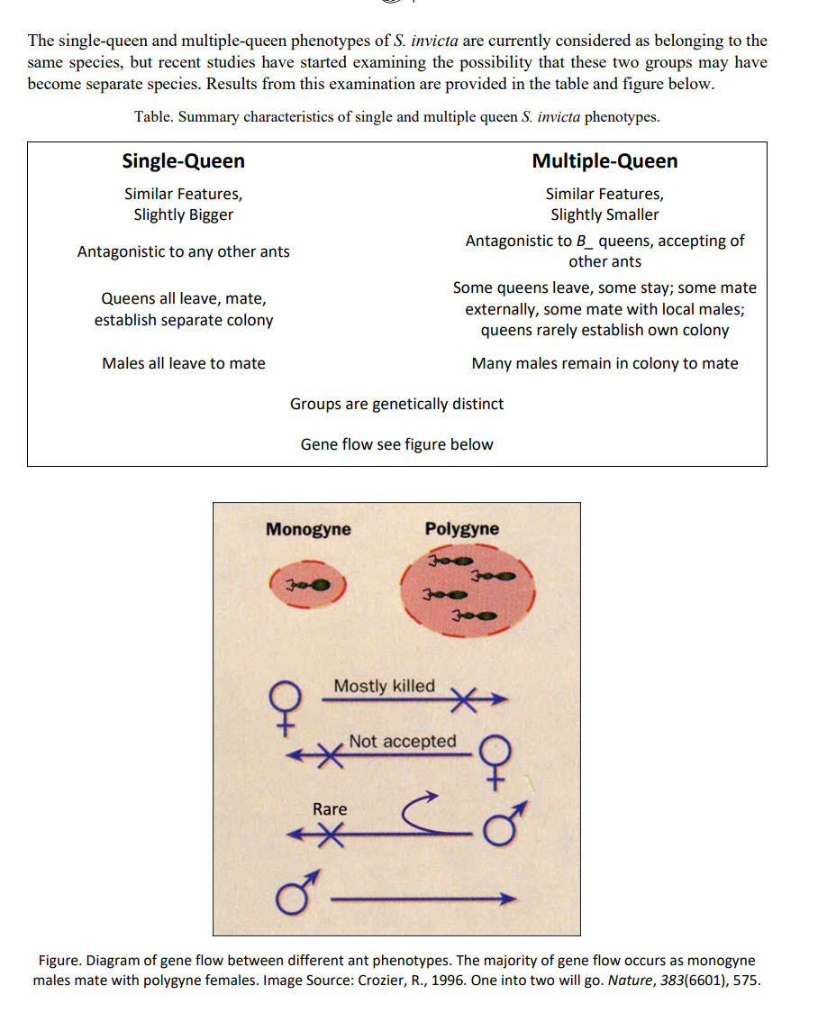 Solved The single-queen and multiple-queen phenotypes are | Chegg.com