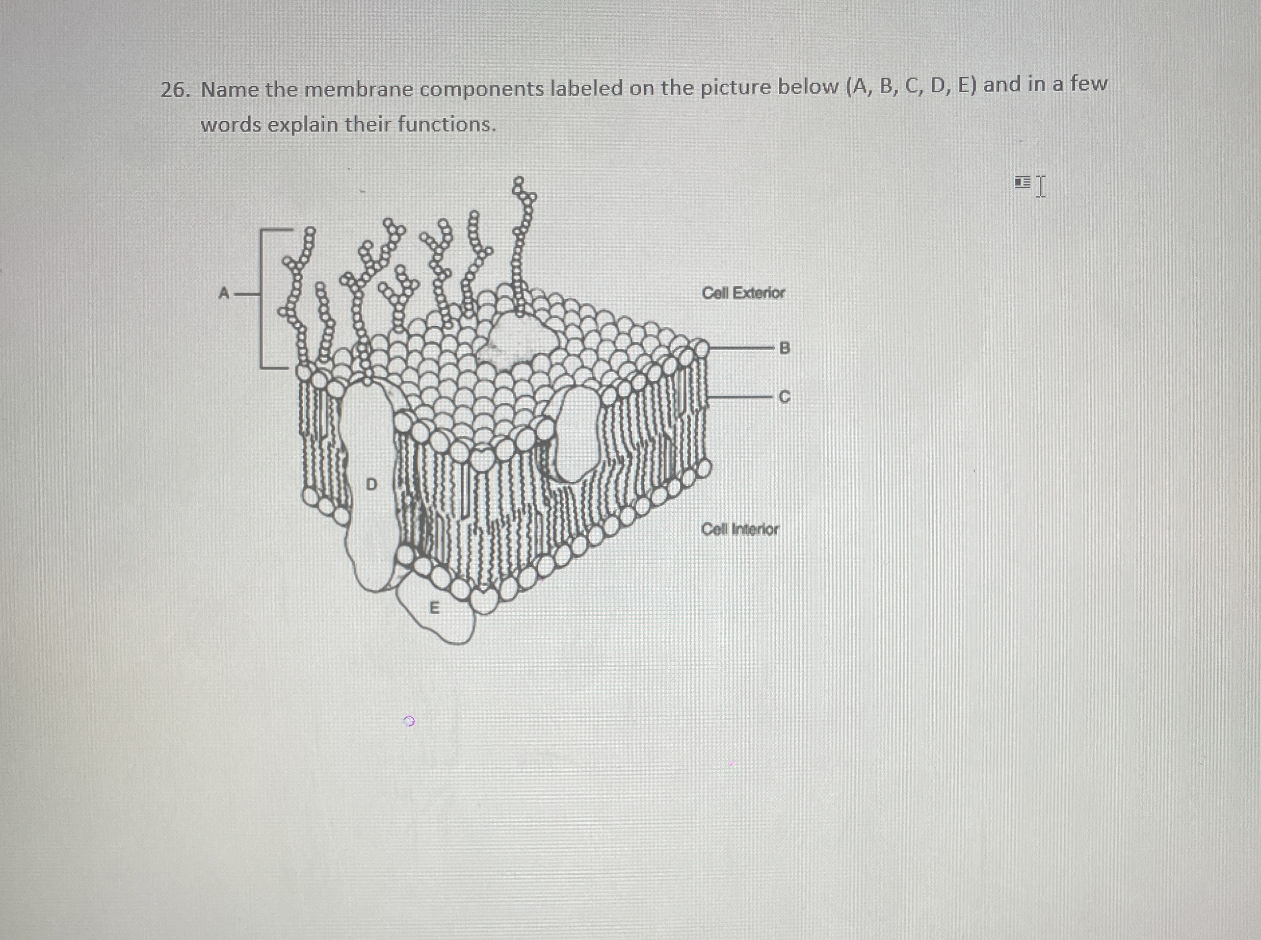 Solved Name the membrane components labeled on the picture | Chegg.com