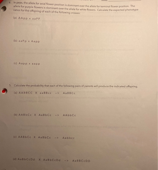 Solved 4. In peas, the allele for axial flower position is | Chegg.com