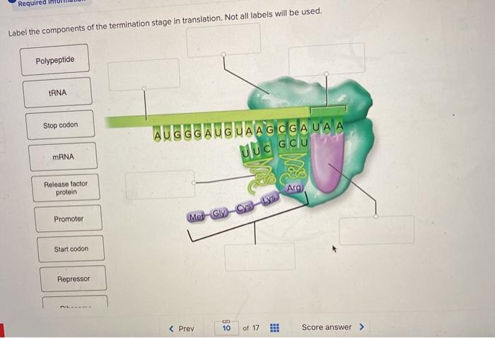 Solved Required Label the components of the termination | Chegg.com