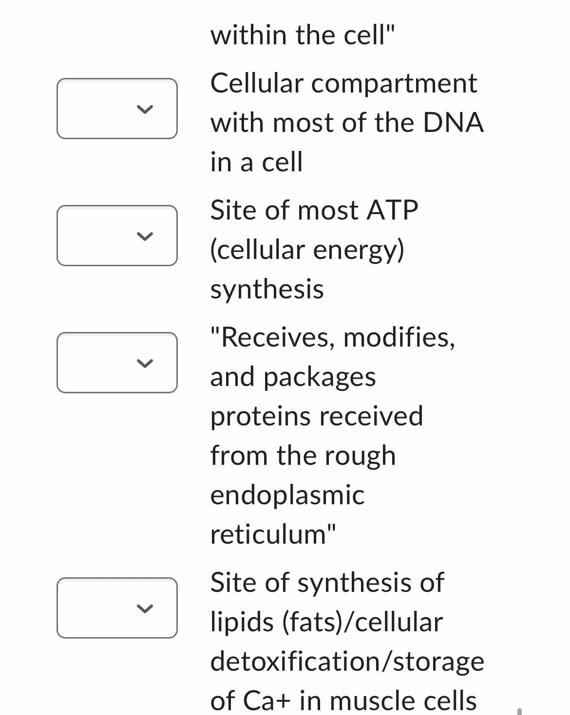 Solved within the cell"Cellular compartment with most of the | Chegg.com
