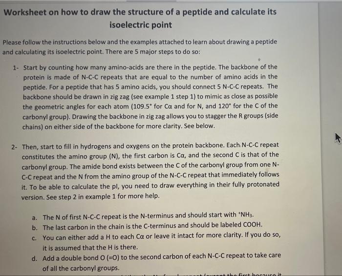 Solved Worksheet on how to draw the structure of a peptide | Chegg.com