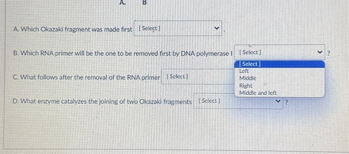 Solved In the following diagram, the top strand is the DNA | Chegg.com
