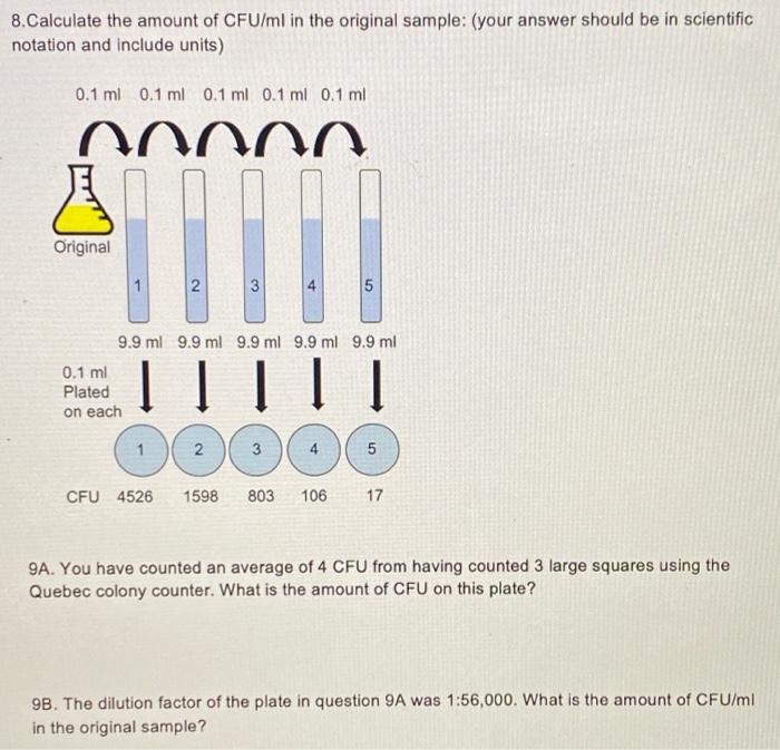 Solved 8. Calculate the amount of CFU/ml in the original | Chegg.com