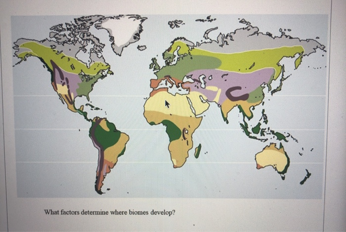 Solved What factors determine where biomes develop? | Chegg.com